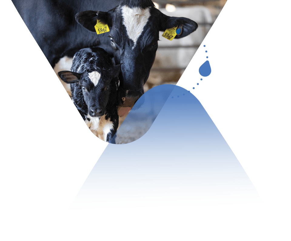 SenseHub® Dairy - Merck Santé animale Canada