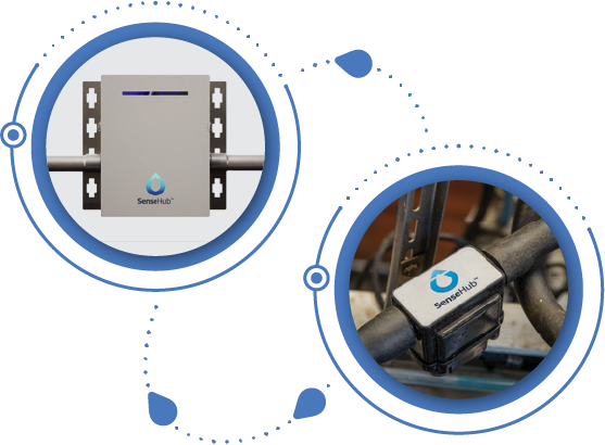 SenseHub® Dairy